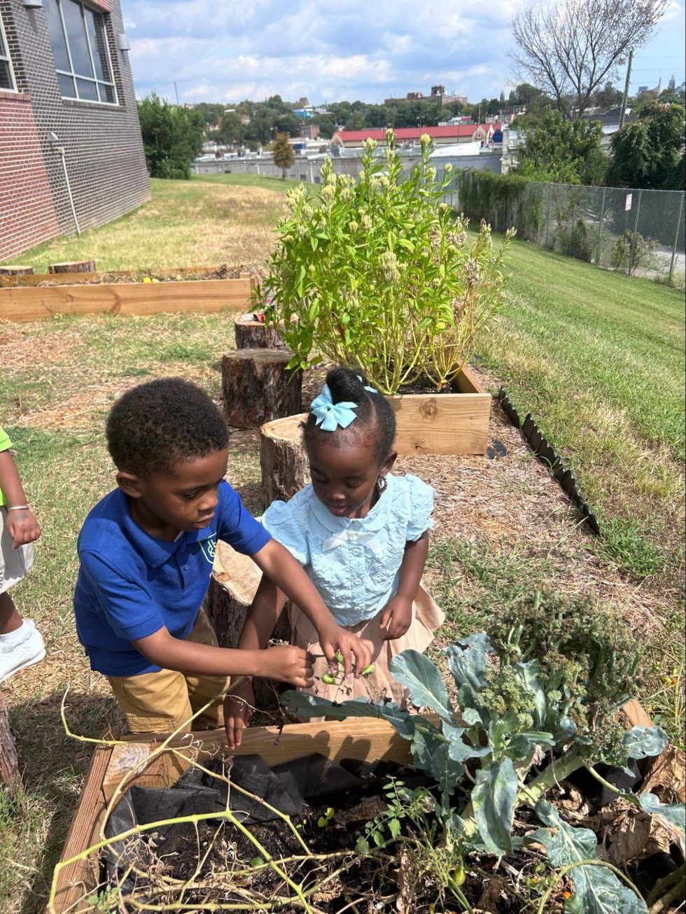 Frederick Elementary School’s Green Team Blossoms